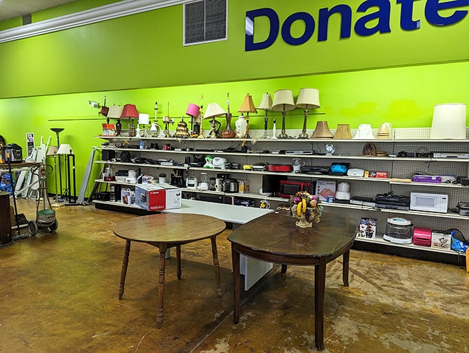 The home goods section—where vintage lamps and forgotten kitchen gadgets await their second act in someone's dinner party story.
