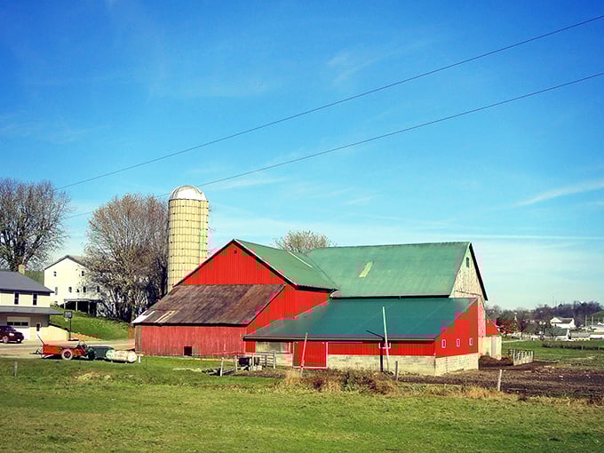 Classic Americana in vivid red. This barn isn't just Instagram-worthy; it's a working testament to agricultural traditions still thriving today.