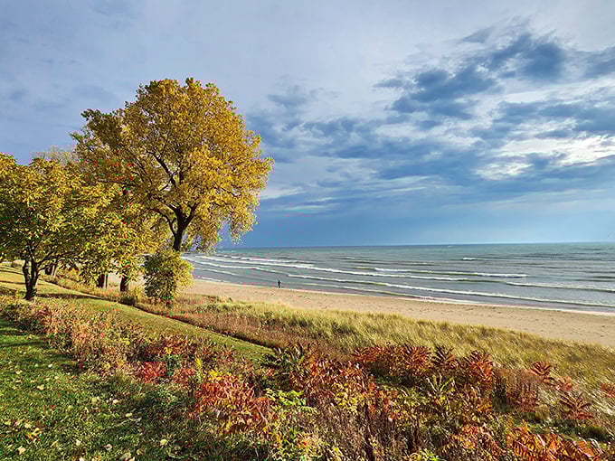 Fall at Lake Michigan's edge paints a masterpiece no filter could improve. Nature showing off its seasonal wardrobe change with golden trees and moody skies.