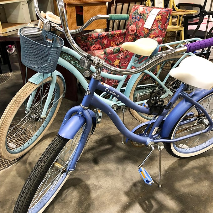 Vintage cruisers in baby blue and purple – these retro bikes aren't just transportation, they're time machines to carefree childhood summers.