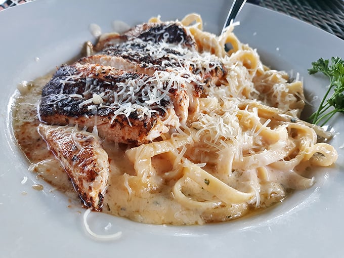 This blackened salmon atop creamy fettuccine isn't just dinner—it's proof that Nebraska understands seafood better than coastal elites might expect.