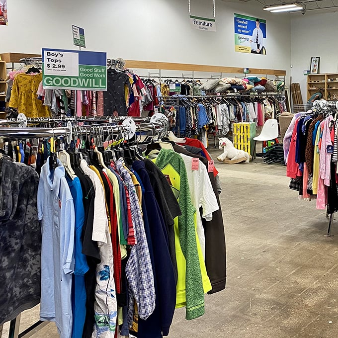 Boy's tops for $2.99? That's not just a bargain—it's practically a financial intervention for growing families.