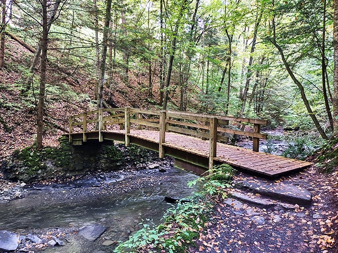 This rustic wooden bridge wouldn't look out of place in a fairy tale. Half expect to hear the clip-clop of Billy Goats Gruff overhead.