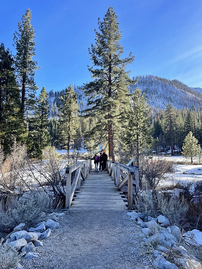 Winter's wooden pathway to wilderness wonders. The bridge invites adventure-seekers into a snow-dusted landscape that Instagram filters couldn't improve upon.