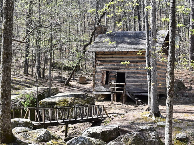 This rustic log cabin isn't just Instagram-worthy – it's a time machine to when "streaming" meant something entirely different.