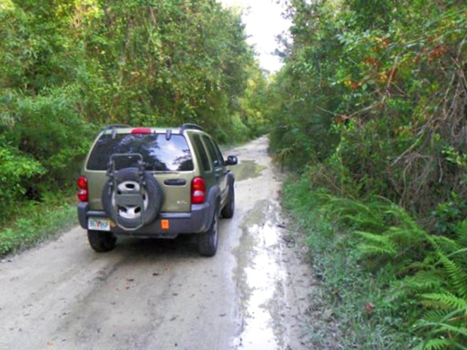 An SUV navigates the narrow gravel path where puddles reflect the sky—proof that the best Florida adventures sometimes require a bit of mud.