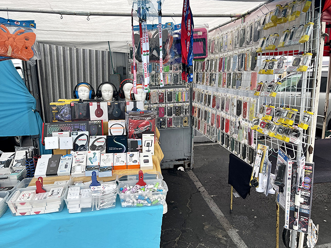 The modern bazaar's tech corner—where phone cases multiply like rabbits and headphones dangle like exotic fruit ripe for the picking.