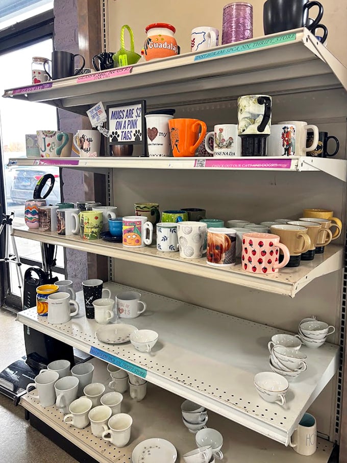 A ceramic menagerie of mugs tells a hundred stories – each one previously sipped from during someone else's morning routine.