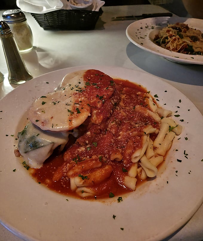 Cavatelli with red sauce and what appears to be stuffed shells—proof that sometimes the simplest combinations create the most profound food memories.