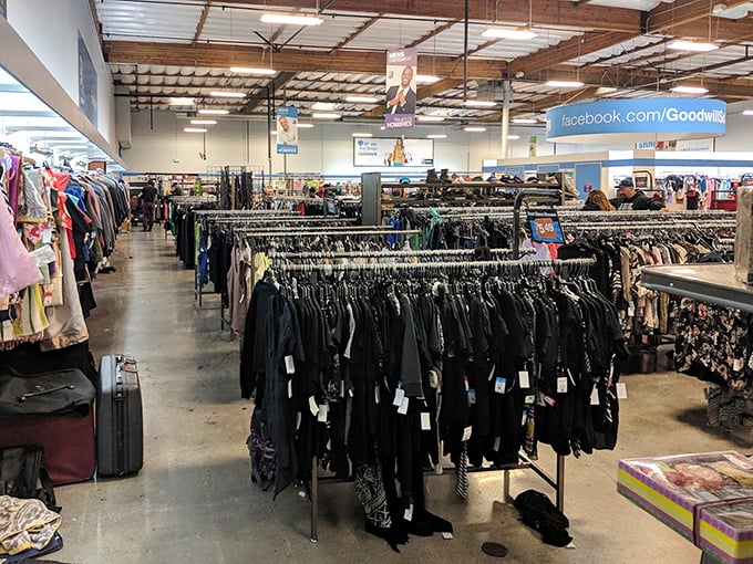 Rack after rack of sartorial possibilities. That leather jacket could have stories to tell – or become part of your own fashion narrative.