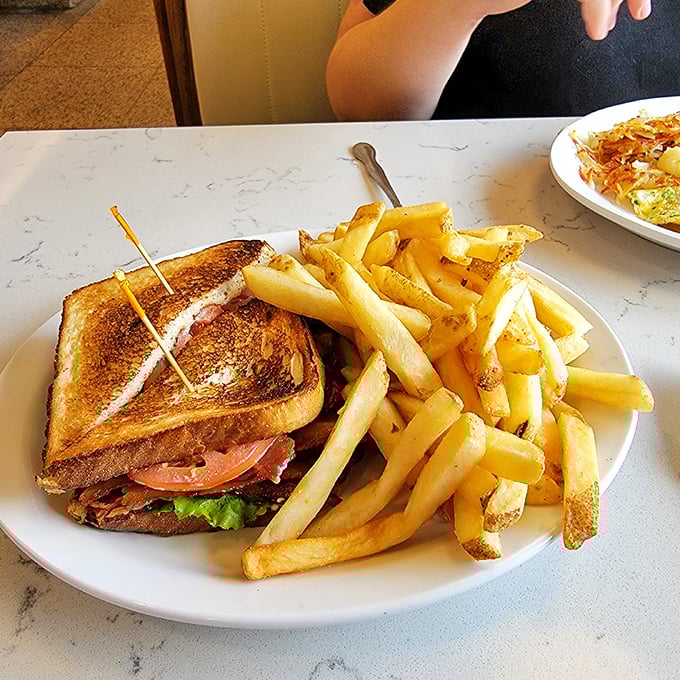 This isn't just a sandwich—it's architecture. Golden-toasted bread supporting the perfect ratio of fillings, with fries that demand equal attention.