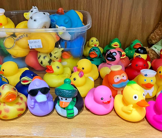 Who knew rubber ducks had such personality? This quirky collection ranges from sunglasses-cool to superhero-ready, proving bath time is never boring.
