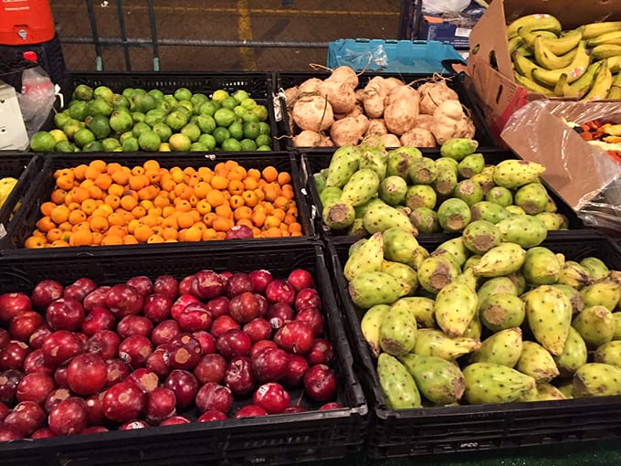 Nature's candy display! Plums, limes, and prickly pears arranged in a kaleidoscope of colors that make supermarket produce look like pale imitations.