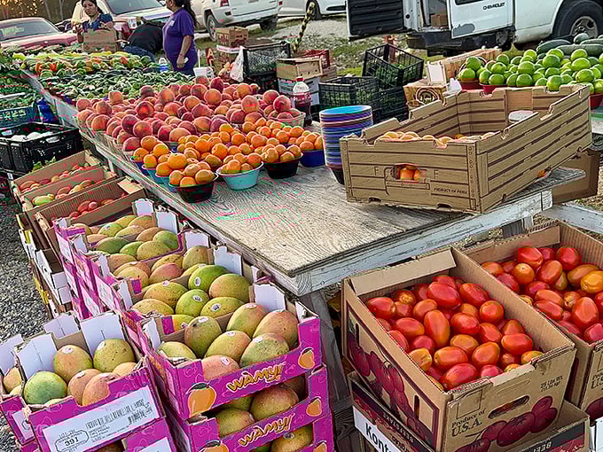Farm-fresh produce that actually deserves the term "farm-fresh"—these peaches haven't spent more time in transit than they did on the tree.