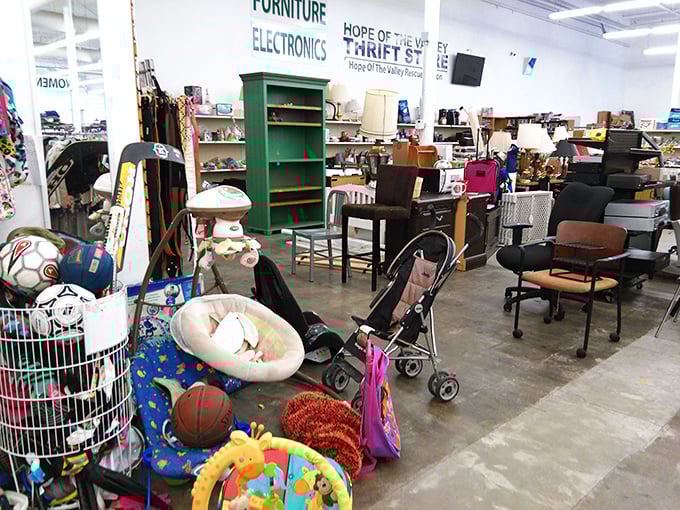The furniture section: where mid-century meets modern, vintage meets value, and every chair has a story it's dying to tell you.