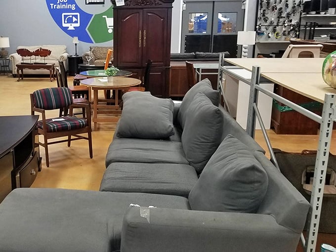 Furniture that tells stories sits patiently for its second act. That gray sofa might have hosted famous conversations or simply quiet Sunday naps.