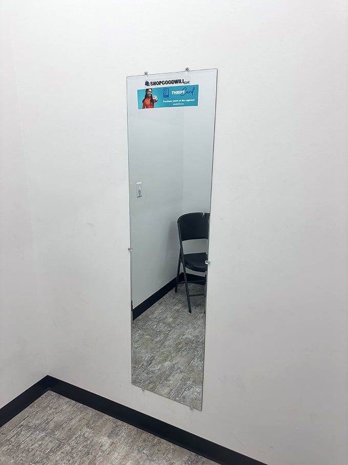 The fitting room mirror—where thrift store dreams either come true or get returned to the rack. The moment of truth awaits.