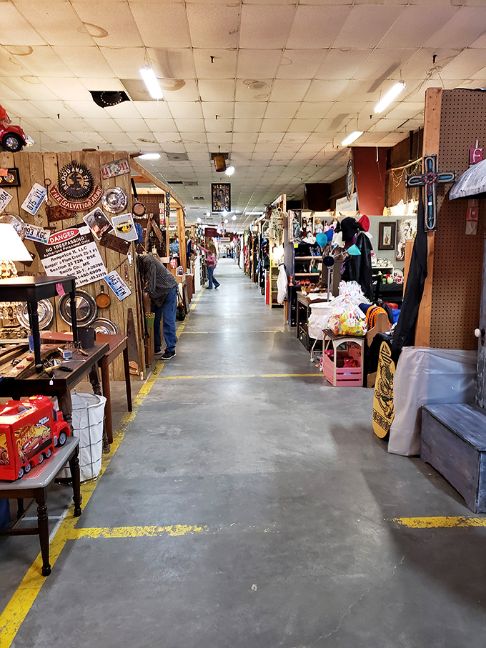 Treasure hunting requires comfortable shoes and endless patience as you navigate these vendor-lined corridors of possibility.