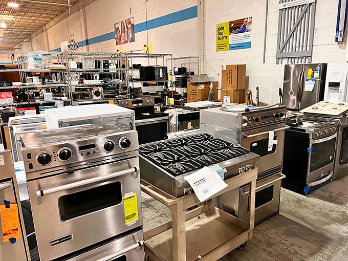 Kitchen appliance paradise! These stainless steel beauties are ready for their comeback tour in your culinary arena.