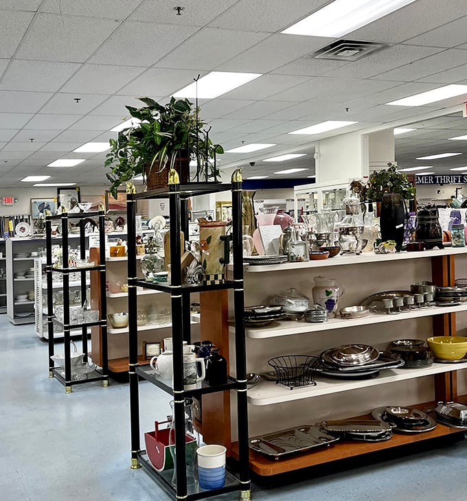 Kitchen treasures stacked with military precision. Someone's grandmother's beloved serving platter is about to become your new conversation piece.