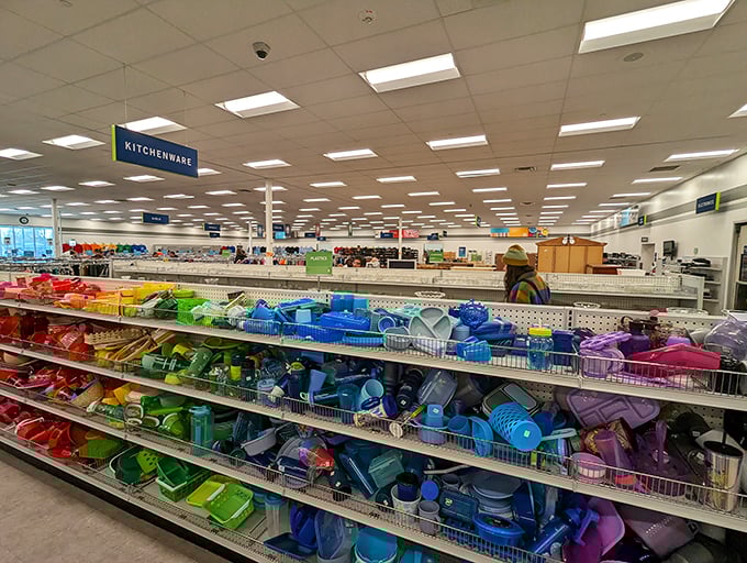 The kitchenware aisle explodes with color-coded possibilities – organize your kitchen or start a plastic container symphony orchestra.