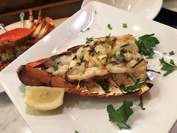 Lobster doesn't get more glamorous than this—tender meat glistening with butter and herbs, ready for its close-up and your fork.