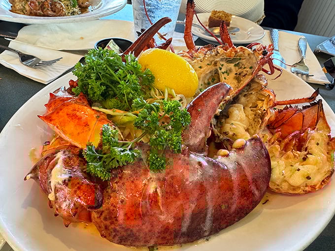 This isn't just a lobster—it's a crimson titan of the sea, presented with the reverence it deserves. Butter bibs are not optional.