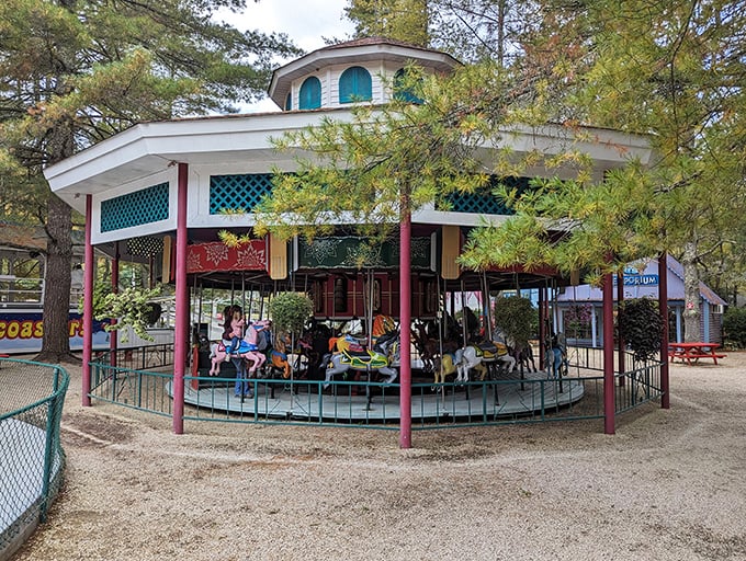 This classic carousel brings genuine old-school charm that modern parks can't replicate, no matter their budget.