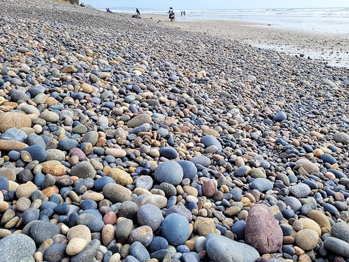 Beach-comber heaven! These smooth, multicolored stones have been tumbling in the Pacific for centuries, each one a tiny geological masterpiece.