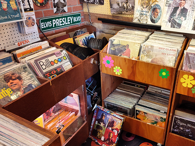 Vinyl heaven! Crate-digging here feels like archeology, except instead of dinosaur bones, you're unearthing someone's 1972 summer soundtrack.