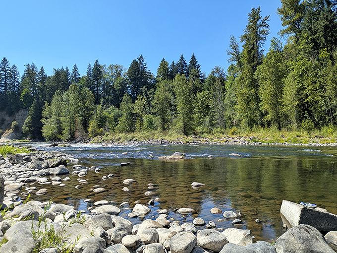 The Clackamas River doesn't just flow—it tells stories. Each stone along its banks has witnessed countless family memories in the making.