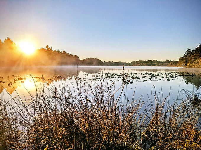 Dawn at Lake Earl creates the kind of mirror-perfect reflection that would make even the most confident selfie-taker turn around.