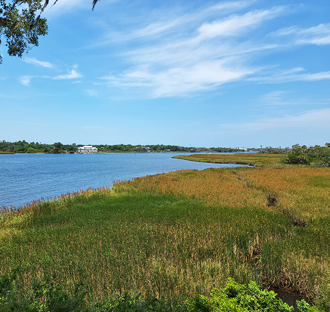 Where salt and fresh water meet, creating a coastal ecosystem that's been sustaining life since before Columbus was even a twinkle in his ancestors' eyes.