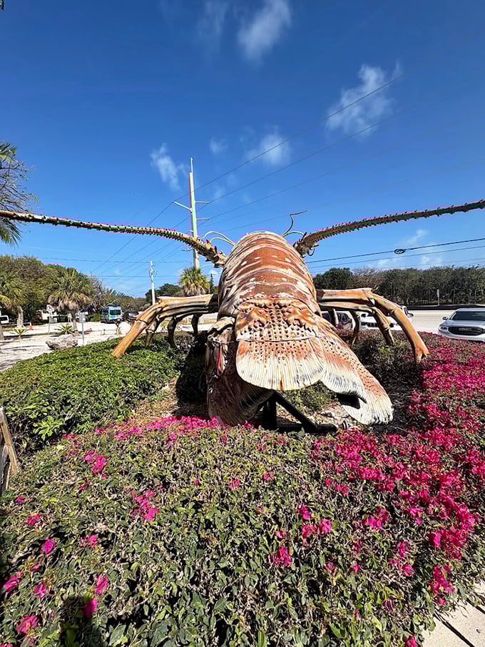 From this angle, the giant lobster looks ready to scuttle across the Overseas Highway. Those antennae could probably pick up radio signals from Cuba.