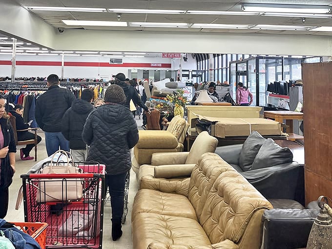 Treasure hunters in their natural habitat, navigating the furniture frontier. That leather sofa might just be someone's next family heirloom.