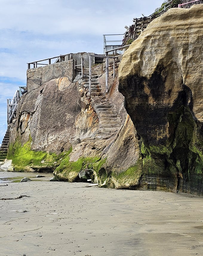 Those 150 steps aren't punishment—they're your entry ticket to one of San Diego County's best-kept coastal secrets.