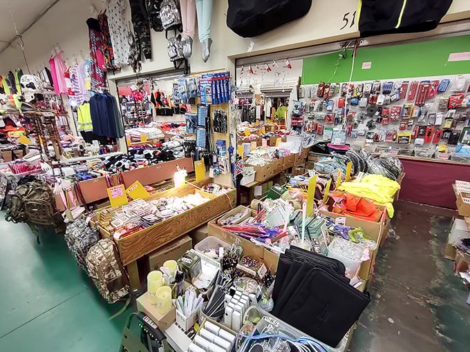 Organized chaos at its finest—where office supplies meet novelty items in a dance of "I need that" and "what even is that?"