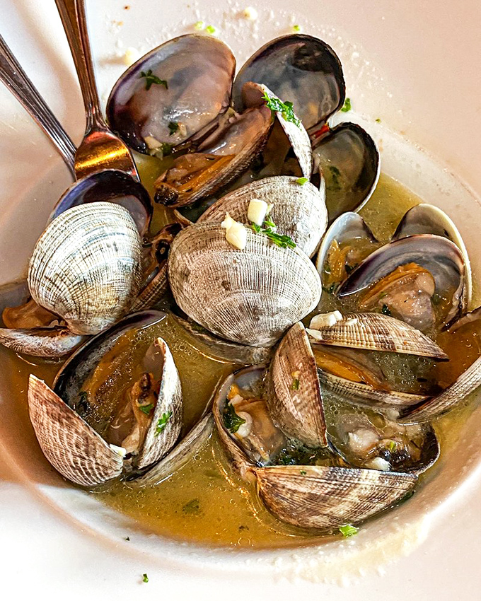 These steamed clams aren't just swimming in broth—they're luxuriating in a garlicky spa treatment. Each shell opens to reveal a tiny treasure of the sea.