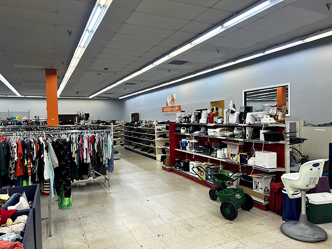 The miscellaneous section—where kitchen gadgets, sports equipment, and that thing-you-didn't-know-you-needed live in perfect harmony.