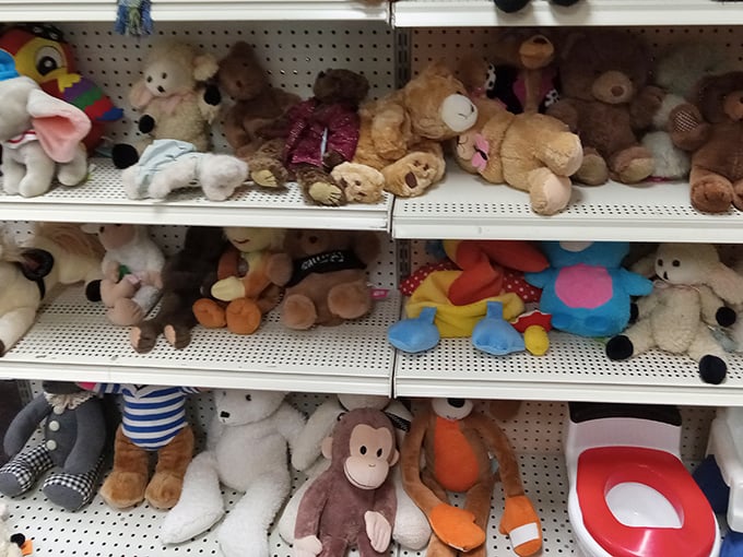 Stuffed animal adoption center or teddy bear reunion? These plush pals wait patiently for their second chance at being someone's bedtime confidant.