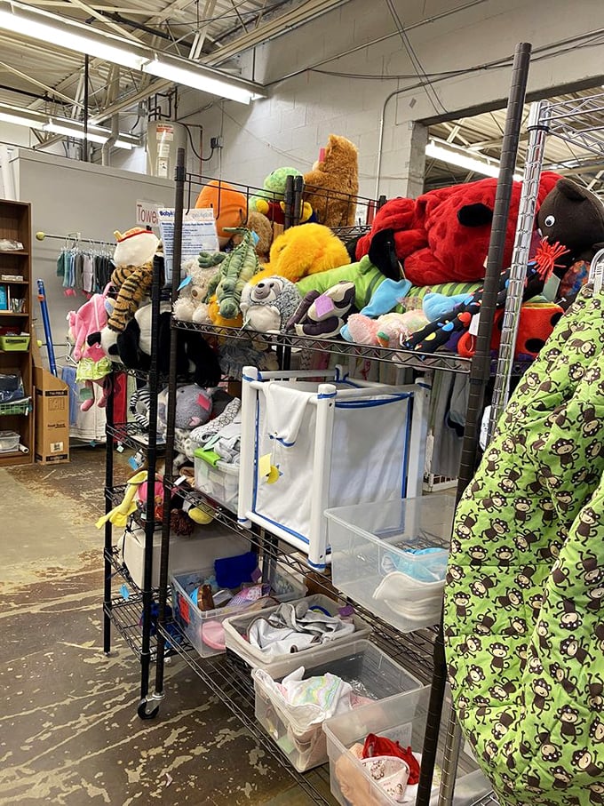 Stuffed animal mountain! Where retired teddy bears and plush pals wait patiently for second chances with new little hands to love them.