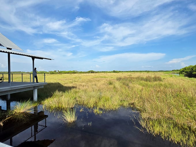 Endless sawgrass prairies meet big sky country, proving Florida has more to offer than just beaches and theme parks.
