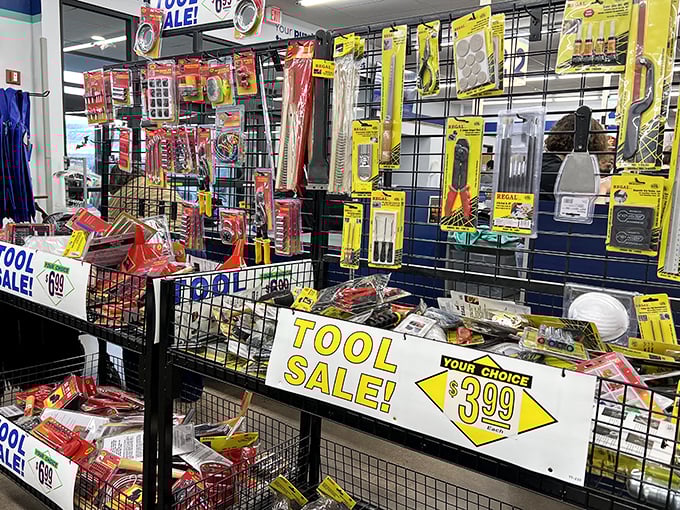 Tool paradise for the DIY dreamer. Like a well-stocked spice rack for home repair enthusiasts—everything you need for that weekend project.