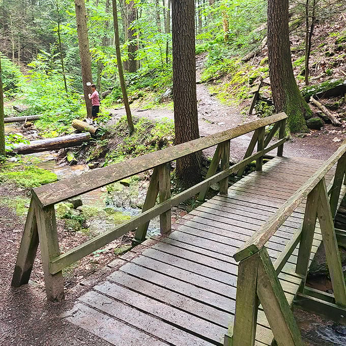 This rustic wooden bridge invites you to cross into adventure. Like a gateway to Narnia, minus the talking animals (probably).