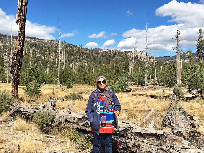 The meadows surrounding Devils Postpile offer their own quiet magic – golden grasses and sentinel pines under that impossibly blue Sierra sky.