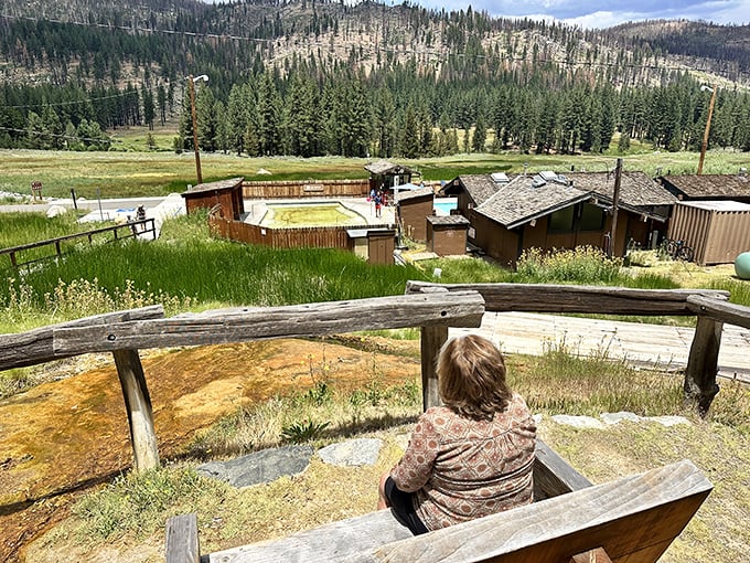 A wooden bench offers front-row seating to nature's greatest show—no tickets required, just the willingness to sit and appreciate the view.