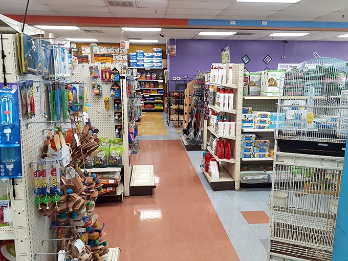 Not just any pet store—a wonderland where Fido can get everything from gourmet treats to that ridiculous holiday sweater you swore you'd never buy.