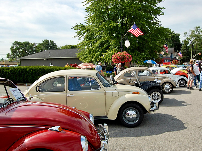 Classic Volkswagen Beetles lined up like candy-colored time machines, reminding us that in Roanoke, nostalgia isn't just remembered—it's polished to a high shine and proudly displayed.