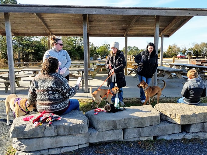 A gathering spot where four-legged friends and their humans create community under rustic shelters—proof that the best social networks exist offline.