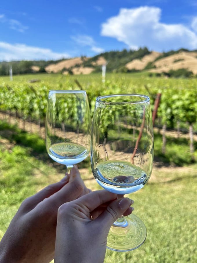 Two glasses catching sunlight against vineyard rows – proof that the best wine accessory isn't a fancy opener, but a stunning view.